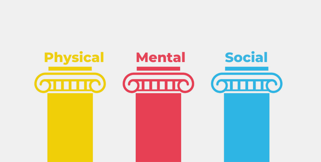 Succeed by Understanding The Three Pillars of Health